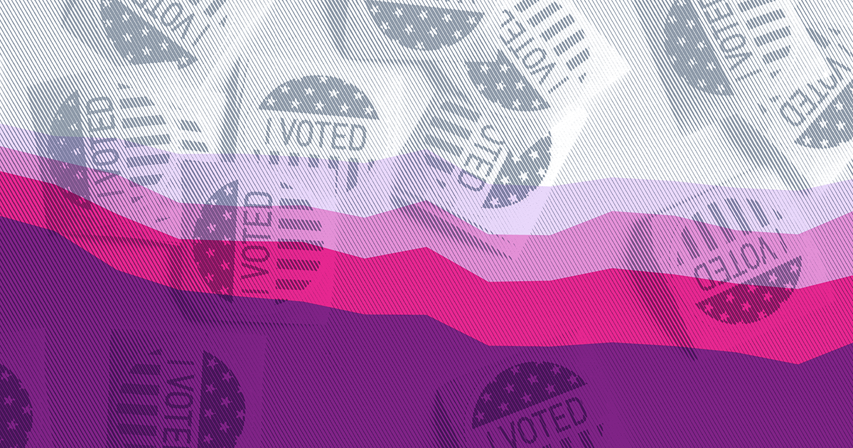 What are the demographics of Hispanic voters?